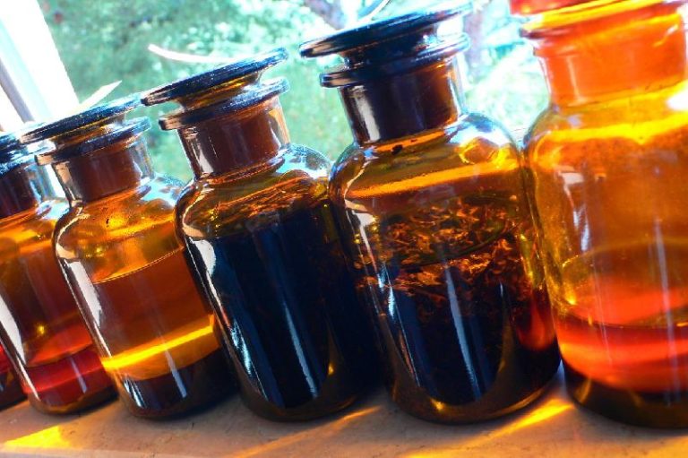 Amanita Muscaria Tincture vs. Extract: A Deep Dive into Potency, Purity ...